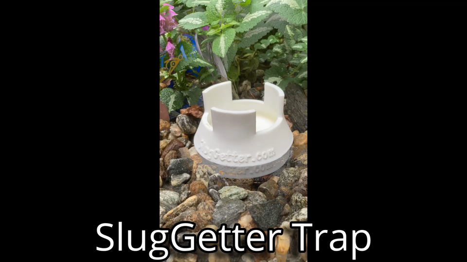 Mushroom Slug Trap! Protect your garden with this durable, decorative ...
