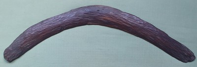 Pacific Islands & Oceania - Antique Aboriginal Boomerang - Vatican