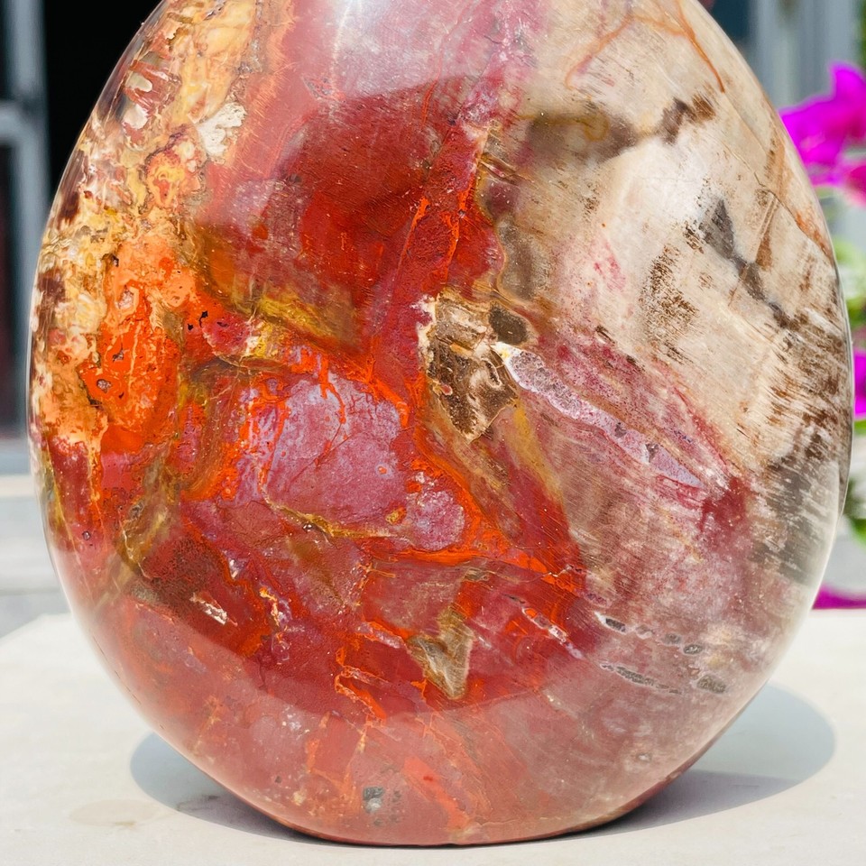 2.55LB Natural Red Petrified Wood Fossil Crystal Landscape Stone ...