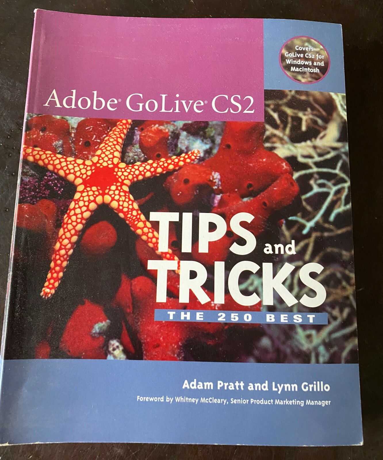 Tips and Tricks Ser.: Adobe® GoLive® CS2 Tips and Tricks : The 250 Best by Adam Pratt and Lynn ...