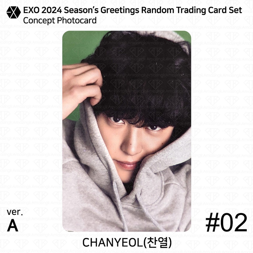 EXO 2024 Season's Greetings Random Trading Card Set Concept Selfie ...