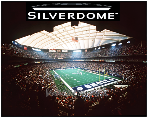 NFL Detroit Lions Pontiac Silverdome View from Stands Color 8 X 10 ...