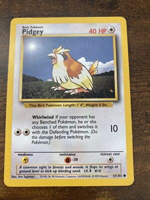 Pokémon TCG Pidgey Base Set 57/102 Regular Unlimited Common | eBay