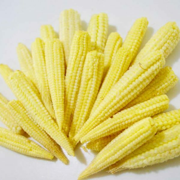 Vegetable - Miniature Sweet Corn Sweetcorn Minipop F1 - 30 Premium ...