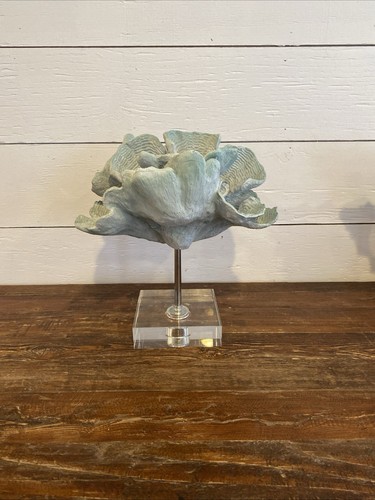 vintage Pier 1 sea shell art On Glass Stand. Rare And Heavy Duty. | eBay