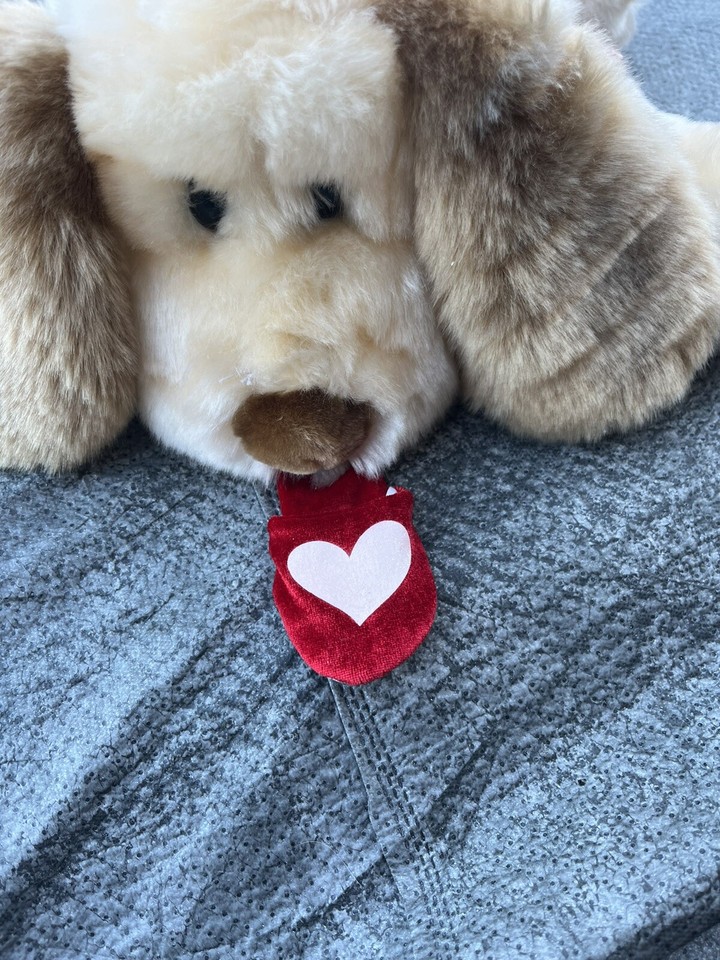 Dan Dee Valentine Puppy Dog Plush Stuffed Animal Love Slipper In Mouth ...