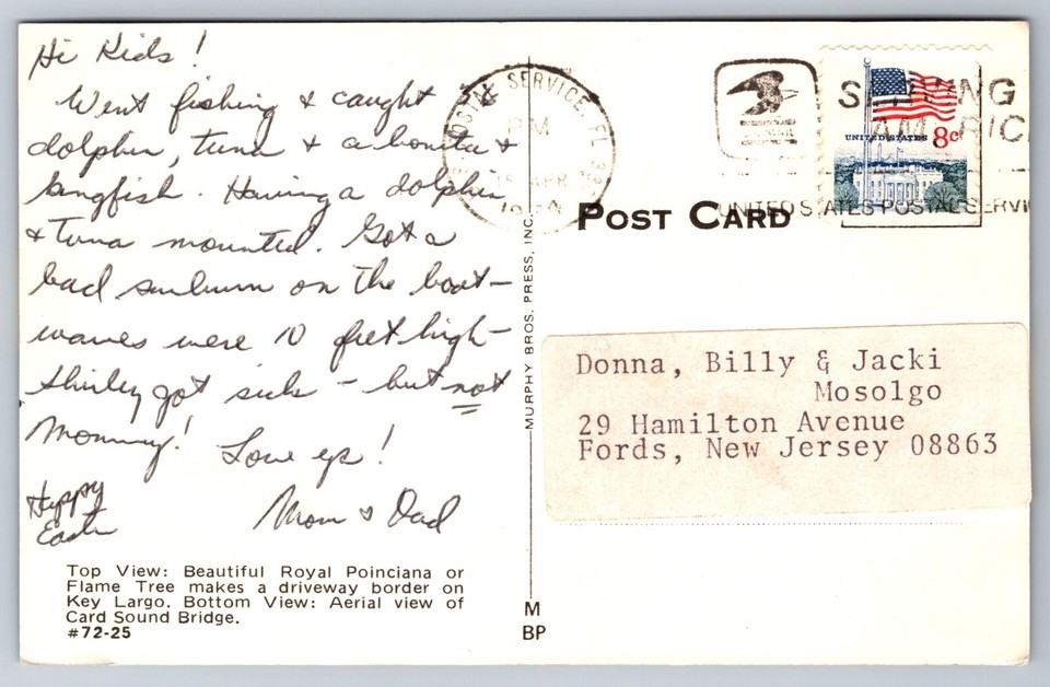 Hello From Key Largo Views Vintage Postcard Royal Poinciana Flame Tree ...