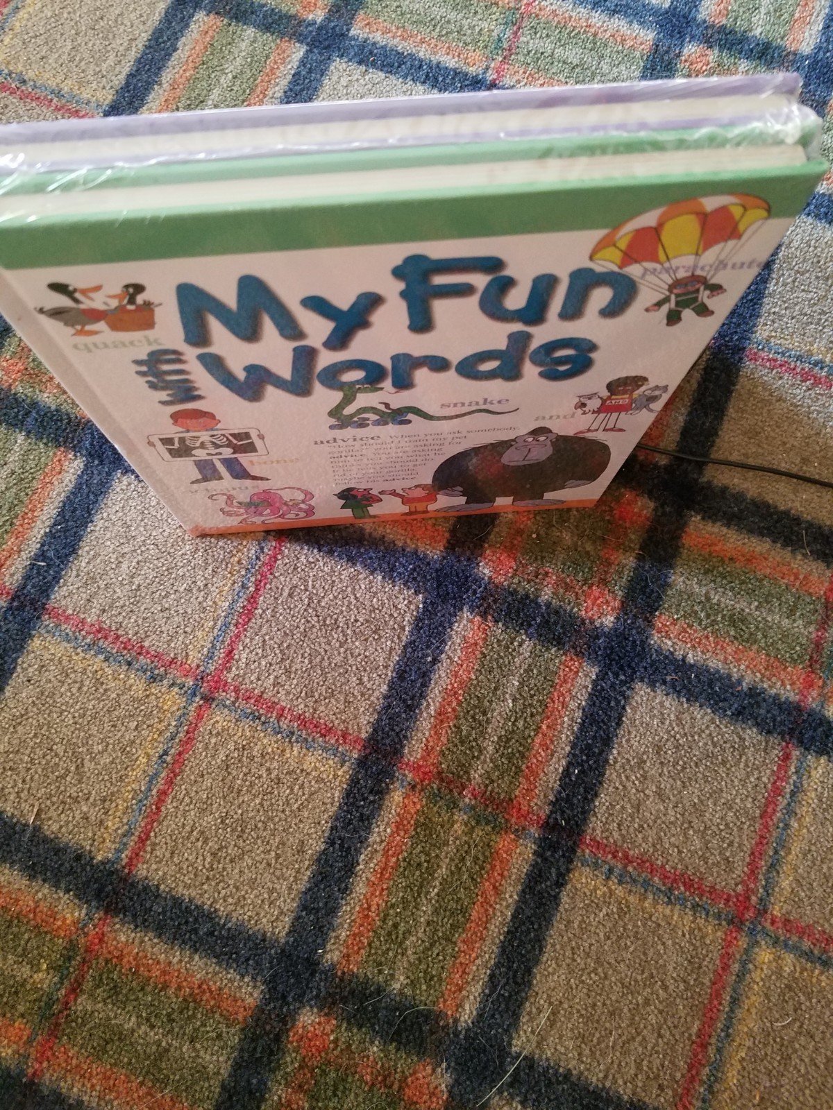 My Fun With Words Hardcover 2 Book Dictionary Set by Southwestern ...