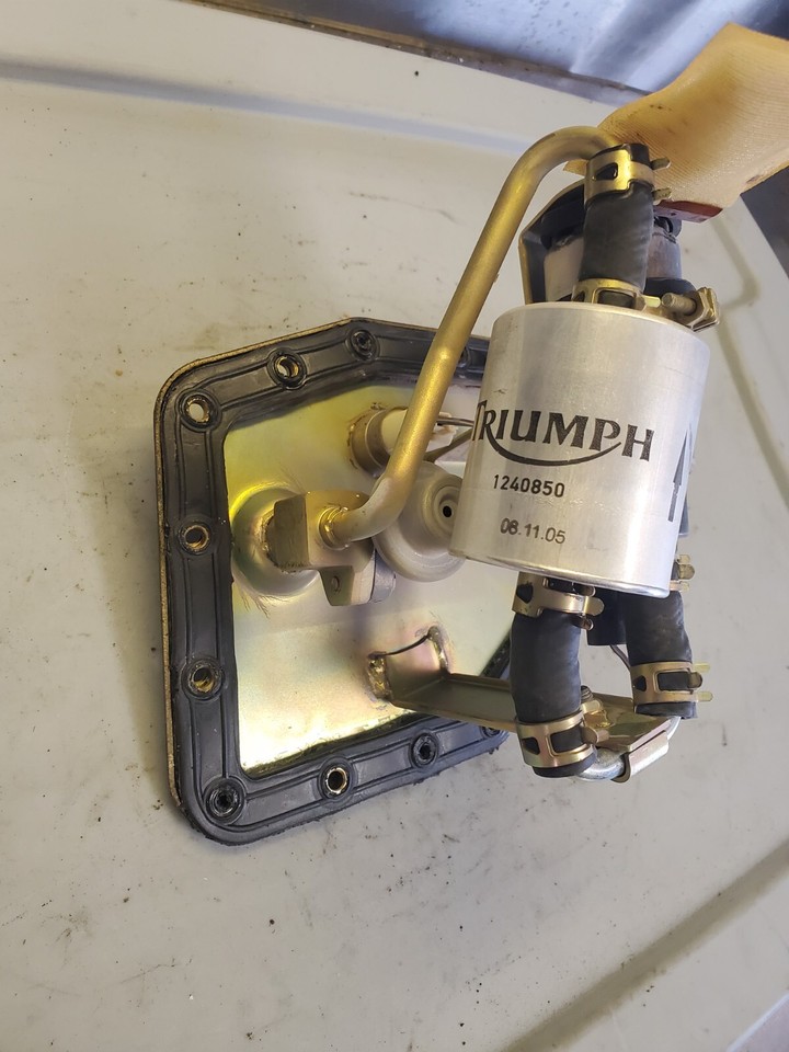 01 - 06 Triumph Tiger 955i fuel pump sending unit bolts | eBay