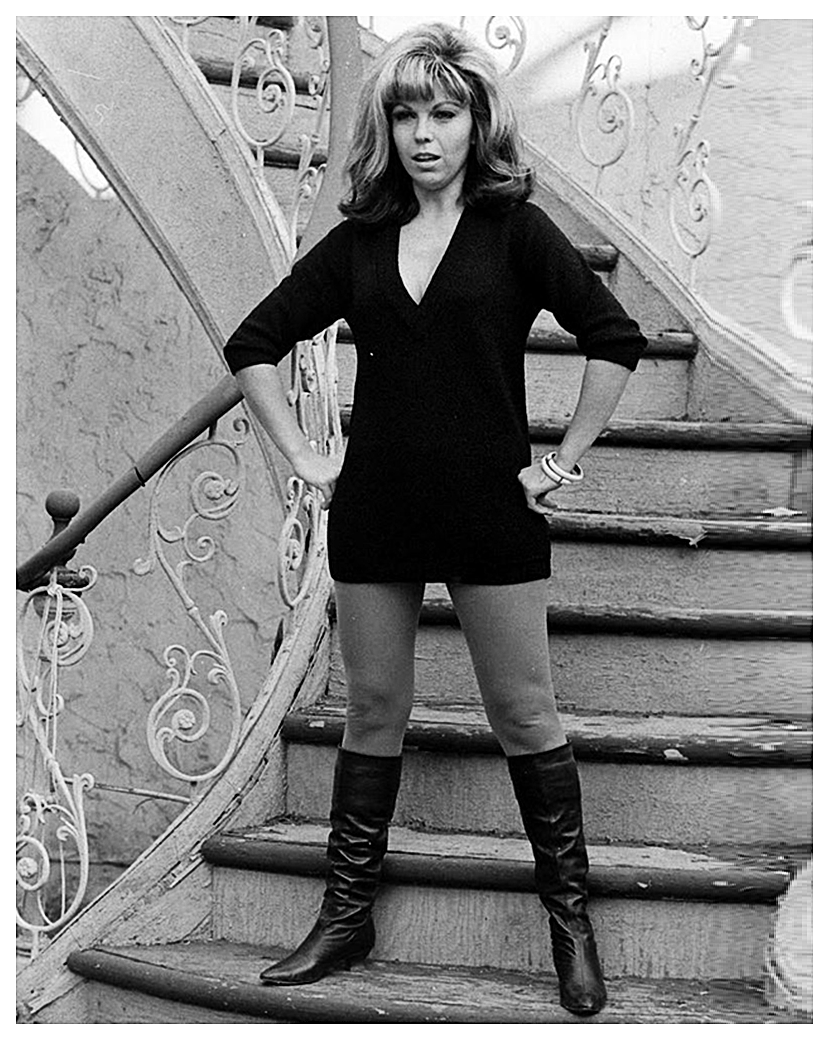 NANCY SINATRA SINGER AND ACTRESS Stairs 8"x10" Photograph | eBay