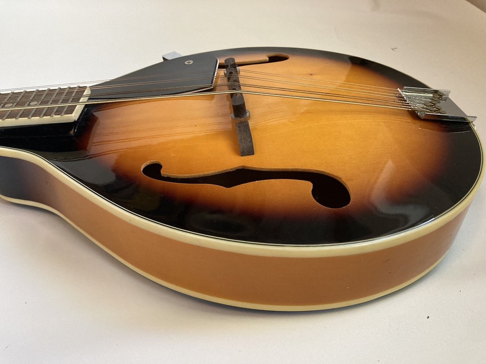 Rogue Fine Instruments RM-100A A-Style Mandolin Sunburst EUC | eBay