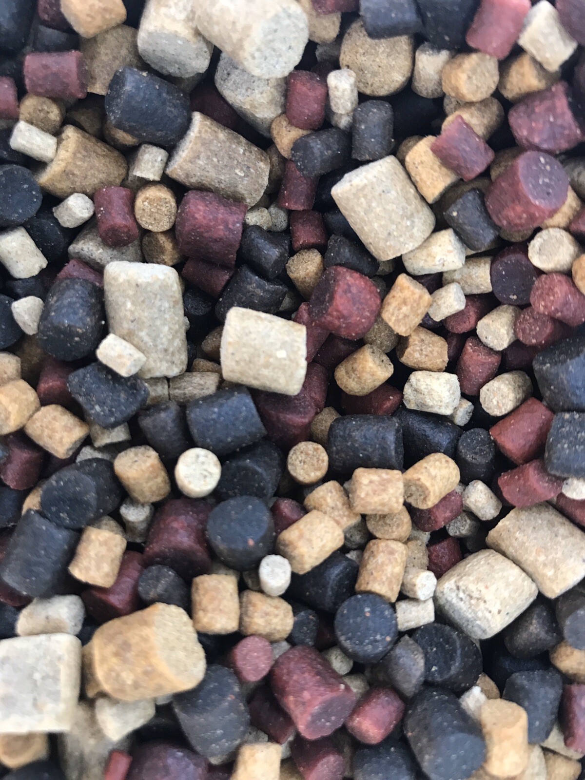 10 Kg Premium Fishing Pellets - Coarse/Carp Fishing Bait ,Skretting ...