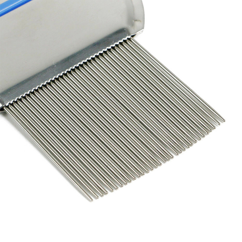 Head Lice Nits On Comb