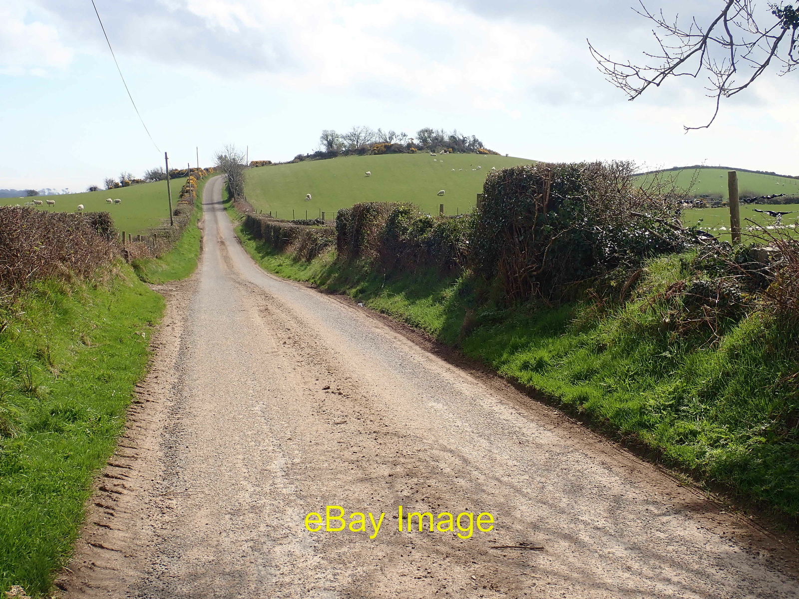 Photo 12x8 Savage's Fort Rath on Moneycarragh Road Magherasaul This is ...