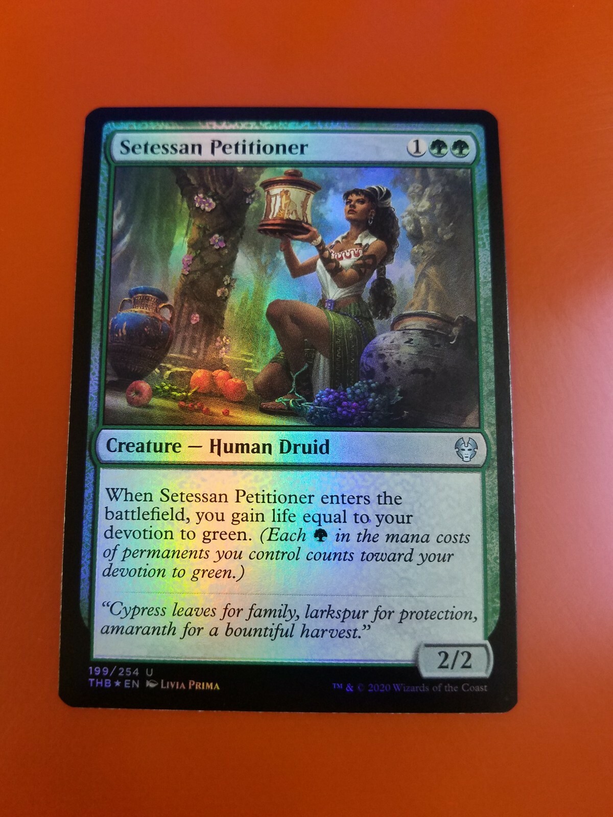 1x Setessan Petitioner | FOIL | Theros Beyond Death | MTG Magic | eBay