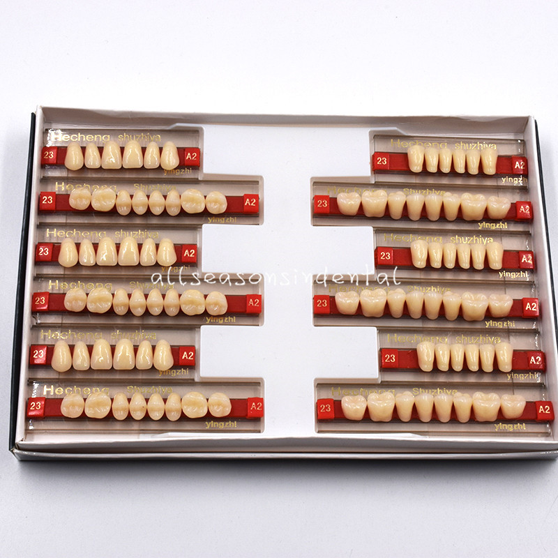 Dental 3 Set Acrylic Resin Denture Teeth VITA Color A2 Upper Lower ...