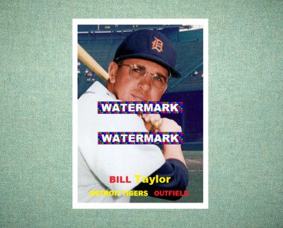 Bill Taylor Detroit Tigers 1957 Style Custom Baseball Art Card | eBay