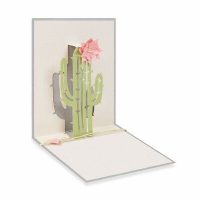 Sizzix Thinlits Dies - Pop-Up Cactus Cardmaking | eBay UK