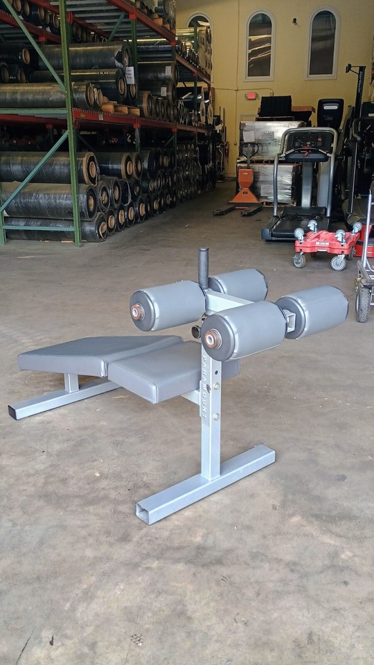 Paramount Abdominal Crunch Bench PFW-5300BS (USED) | eBay