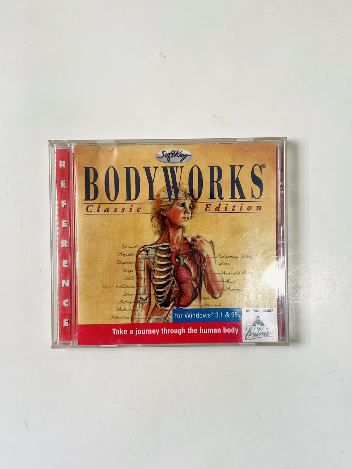 Body Works Classic Edition Human Anatomy CD-Rom Windows Softkey 1994 ...