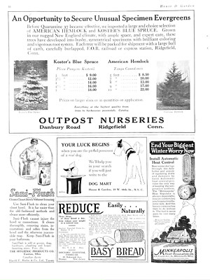 Outpost Nurseries Ad 1922, Danbury Rd, Ridgefield, CT | eBay