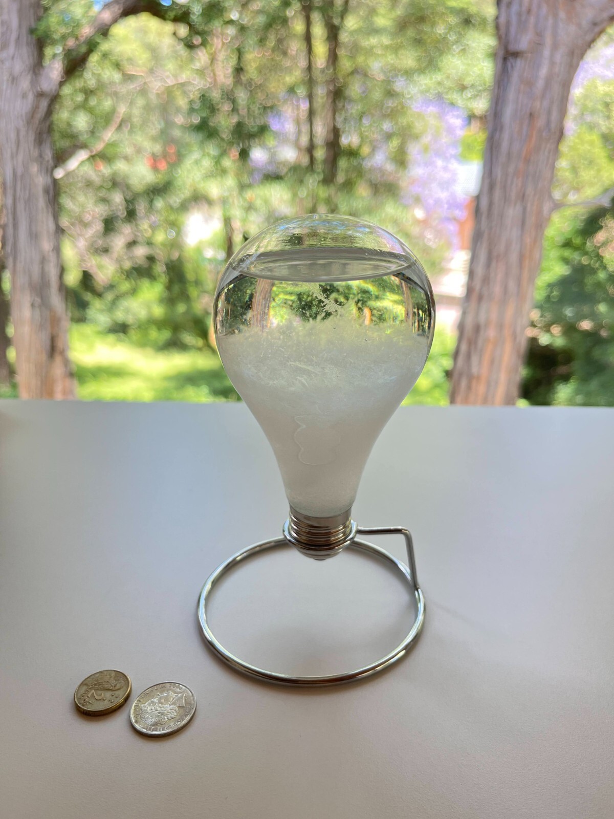 Fitzroy Storm Glass in Silver Rack Weather Forecast 17 cm Au Stock | eBay