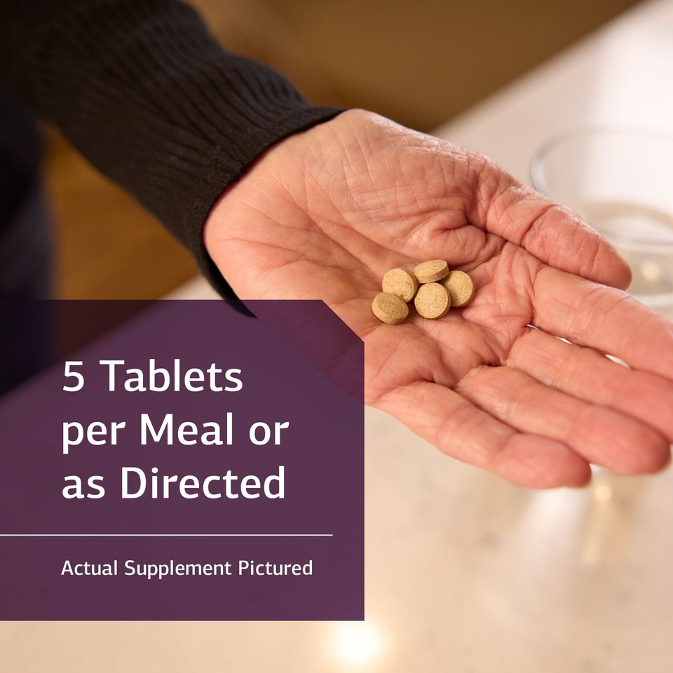 Standard Process Bio-Dent Whole Food Supplement, 330 Tablets | eBay