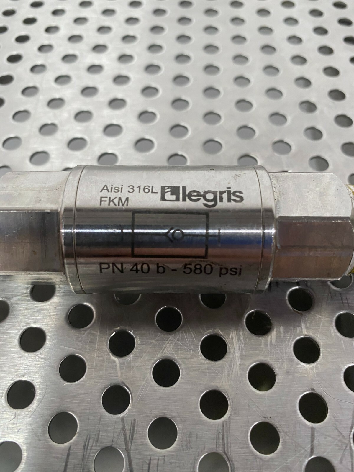 Legris AISI 316L Stainless Steel PN 40 b - 580PSI Spring Check Valve | eBay
