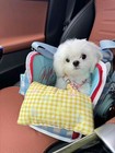 Small Dog Bag Carrier Fancy Tote Colorful Carry-On Pet Yorkie ...