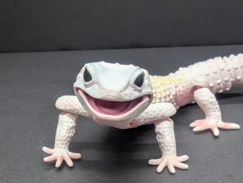 Bandai Gashapon Leopard Gecko 6.3in Realistic Figure Free Shipping from ...