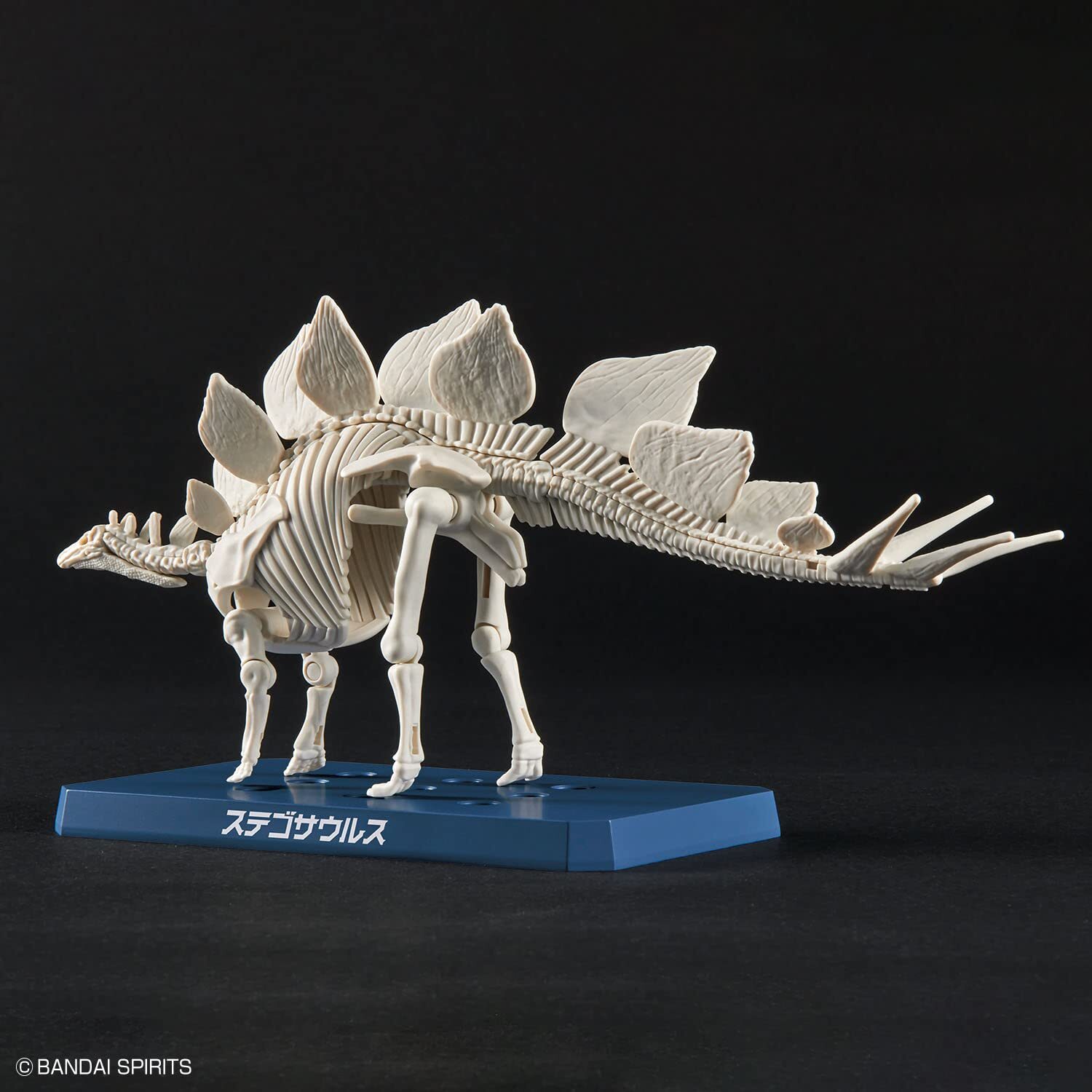 Bandai Spirits Plannosaurus Stegosaurus Colored Plastic model kit ...
