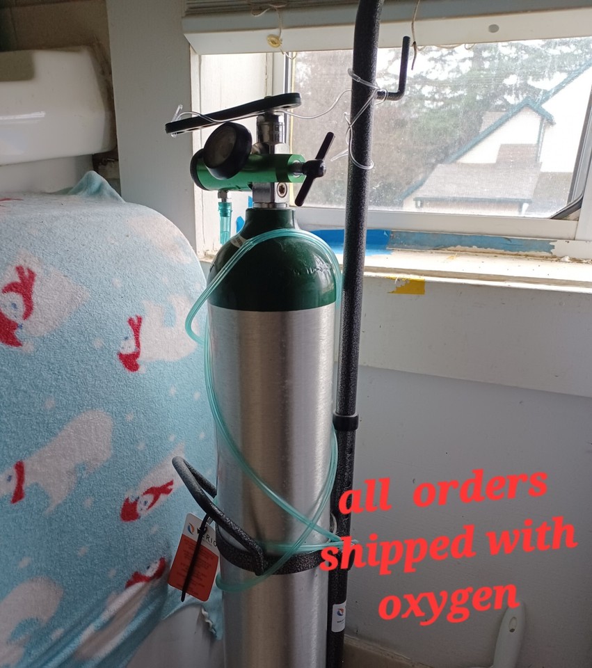 Live Pink CRAYFISH Breeding Pair. Sakura 2.25+inch.Super Rare(P.Clarkii ...