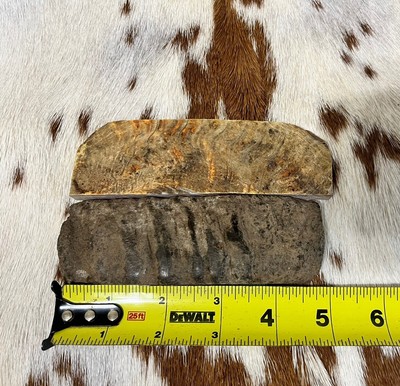 Two 5 inch Black Ram/Sheep horn knife scales/slab 5” Ram Horn Scale ...