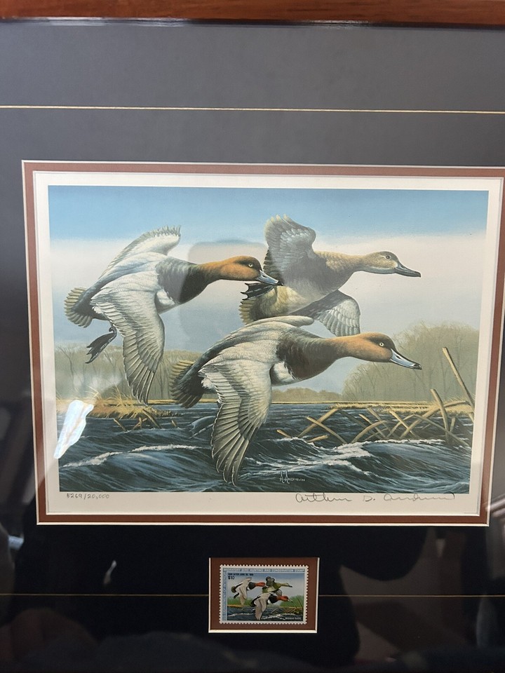 FEDERAL DUCK STAMP PRINT w/ MATCHING DECOY PAIR! | eBay
