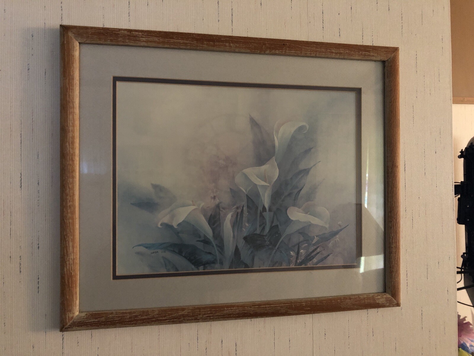 Lena Liu Framed Print Calla Lily 1984 Arthur A. Kaplan Co. 22 5/8”x 17 ...