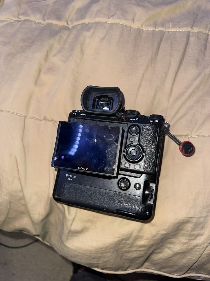 Sony a7 III 24.2 MP Mirrorless Digital Camera - Black (Body Only ...