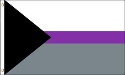 DEMISEXUAL PRIDE 3 X 5 FLAG FL741 banner rainbow demi sexual wall ...