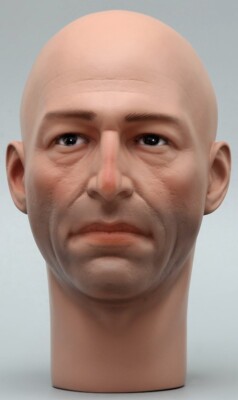 Mannequin Male Head Lifesize Realistic Hand Painted Model TE07 © NEW | eBay