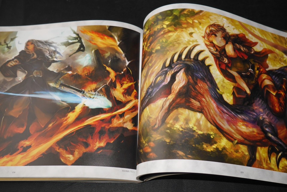 NEW JAPAN Dragon's Crown Art Book | eBay