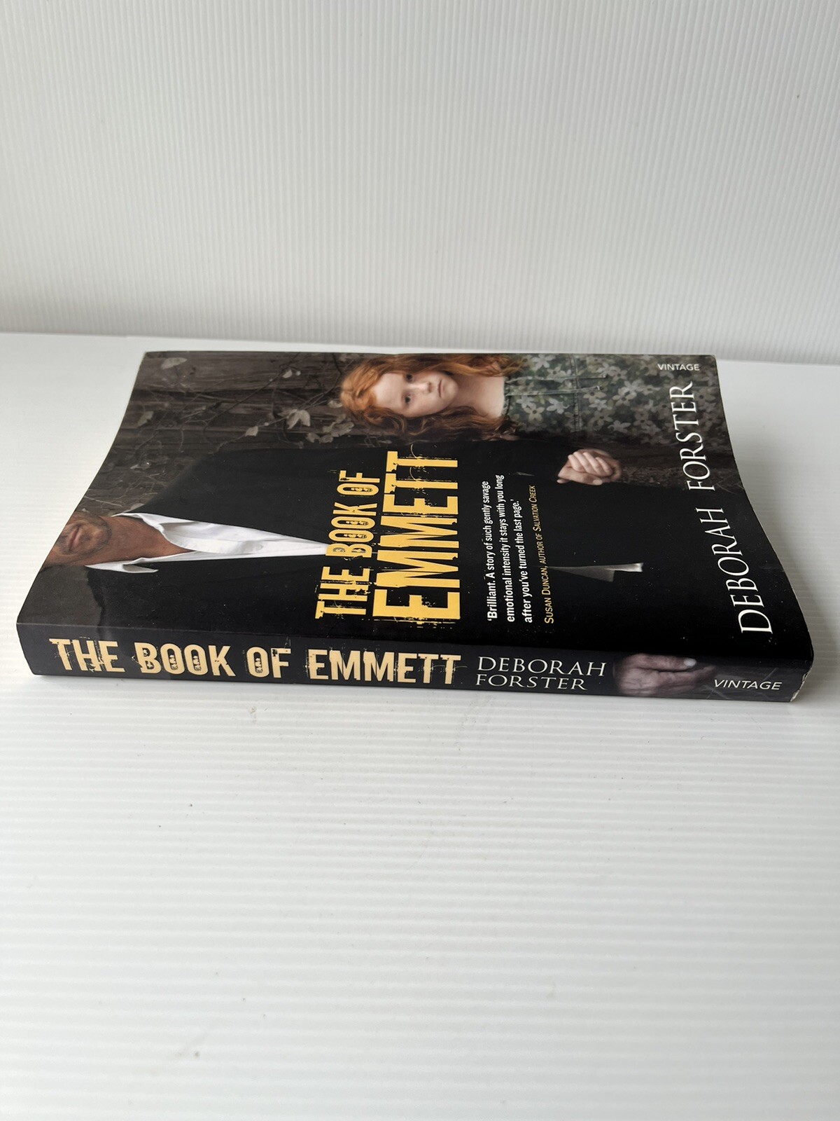 The Book Of Emmett by Deborah Forster Paperback 9781741667868 | eBay ...