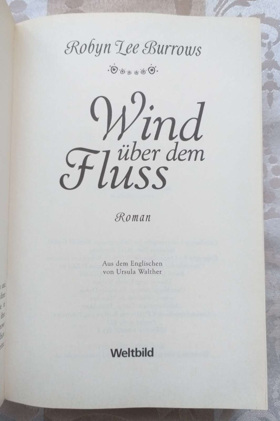 Robyn Lee Burrows "Wind über dem Fluss" /Roman/SEHR GUT! | eBay.de