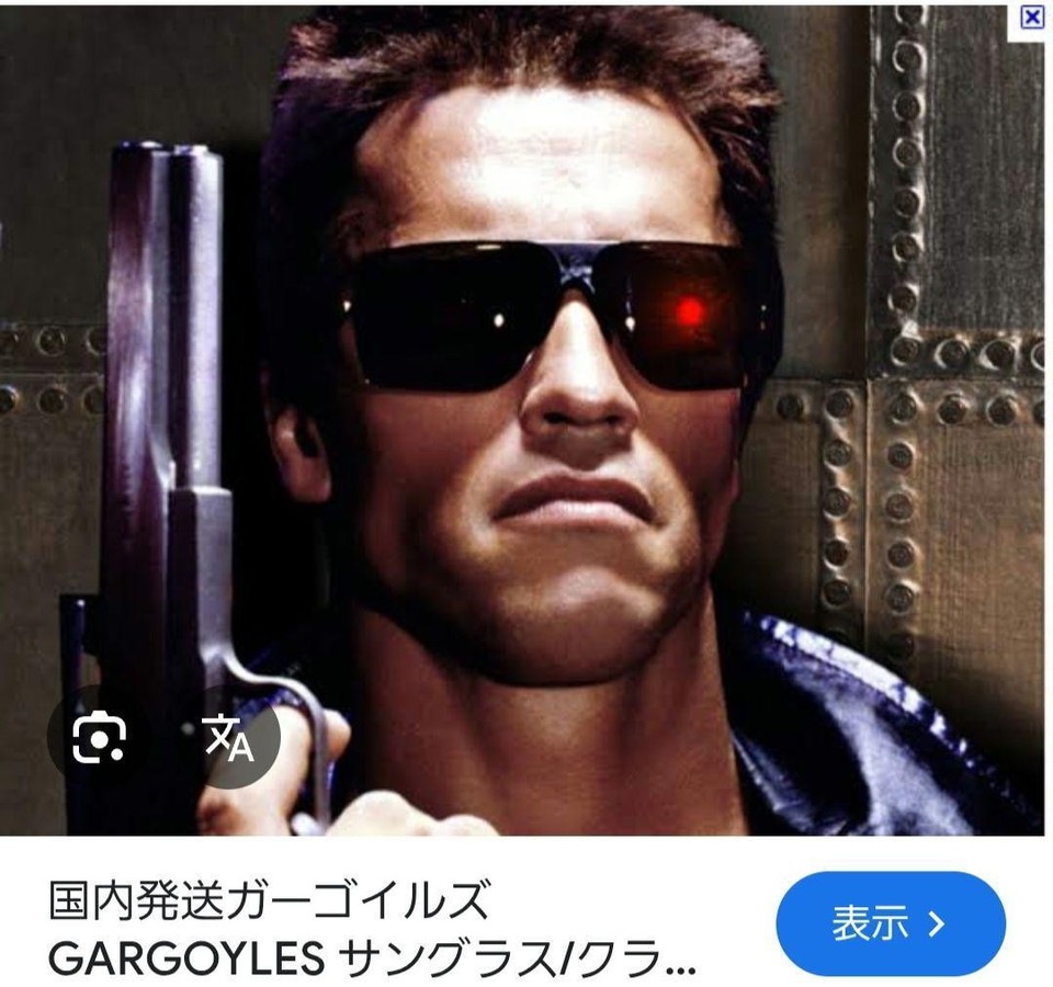 The original Terminator GARGOYLES Sports Sunglasses Grey w/case | eBay