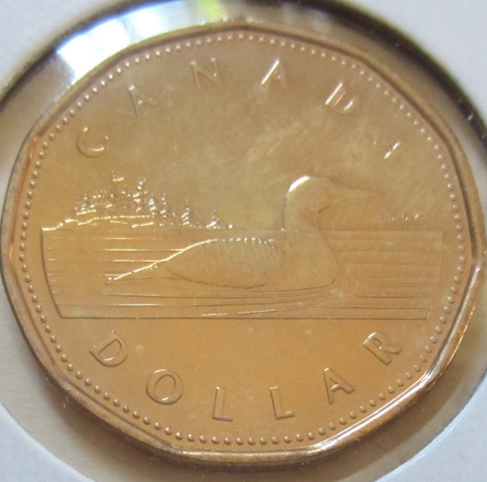 2002 Canada Loonie One Dollar Coin. UNC.Canadian $1 Loon. (RJ.) | eBay