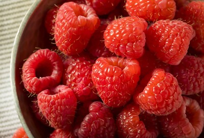 Prelude Early Season Red Raspberry - Potted Plants | eBay