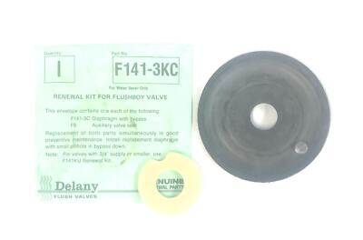 Delany Flushboy Valve Renewal Kit F141-3KC NOS | eBay