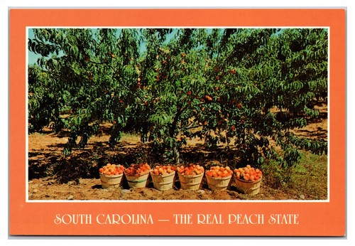 Vintage 1990s - The Real Peach State , South Carolina Postcard ...