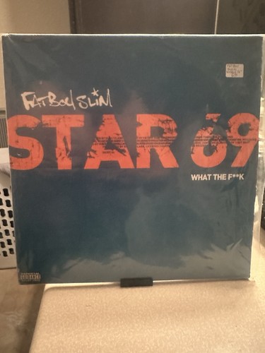 Fat Boy Slim Random Lot Electronic Vinyls Lot Of 14 Records | eBay