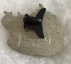 Sea World Pin Expert Explorer Orca Whales Collectible Trading Pin 2018 ...