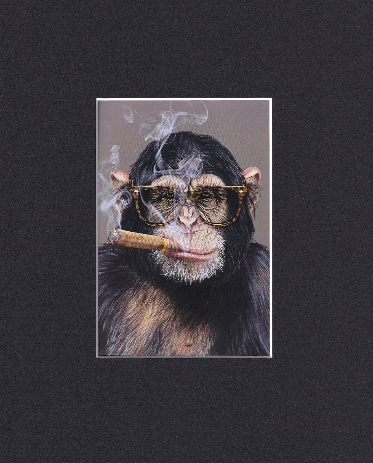 8X10" Matted Print Art Animal Picture: Monkey Smoking, with Glasses ...