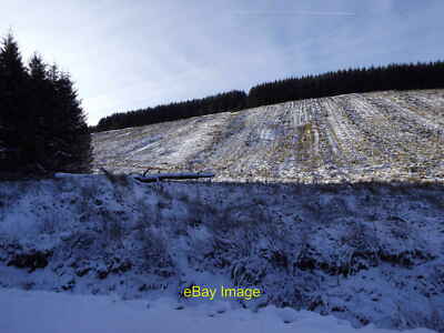 Photo 12x8 Clearfell on Tod Rig in Castleweary woodland near Hawick ...